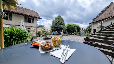 Gemeinde Möriken-Wildegg, Aargau – Wohnen, Verkehr & Gemeindeleben